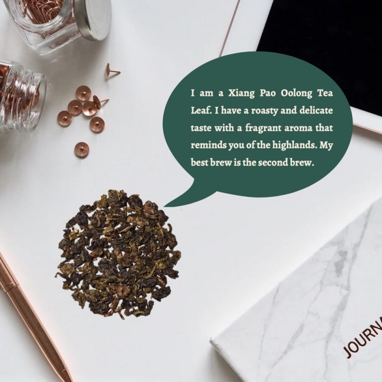 Chinese Oolong Tea Xiang Pao 香泡 乌龙茶王 – Johin Tea Merchant Trading ...